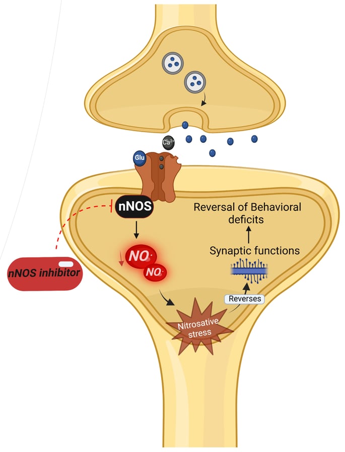 Science & Technology | Neuronos
