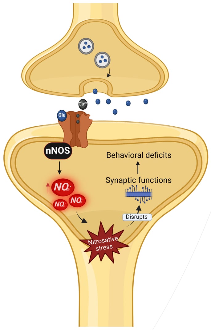 Science & Technology | Neuronos